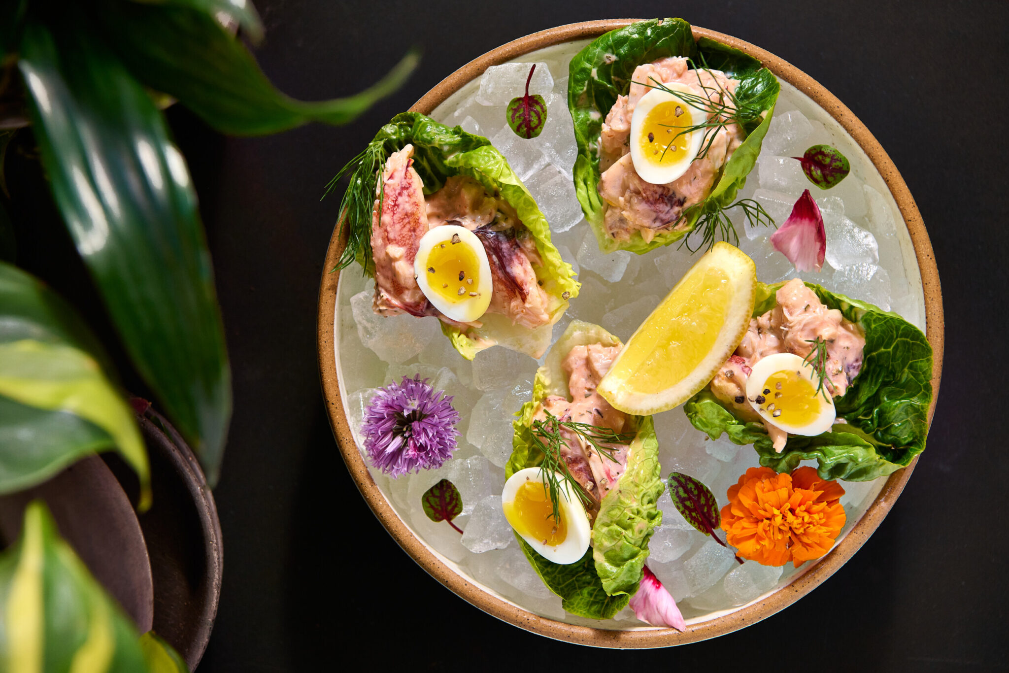 Seattle Fine Dining | Salt Harvest, Seattle Hotel Restaurant